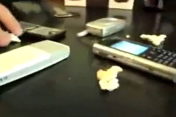 Viral Sach: Can vibrations and heat from mobile phones turn corn into ...