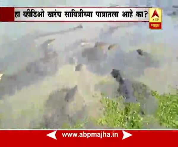 Savitri River: Latest News, Photos and Videos on Savitri River - ABP Majha
