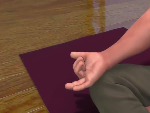 Yoga In Two Minutes: How to do Nadisodhan Pranayam or Alom Vilom?