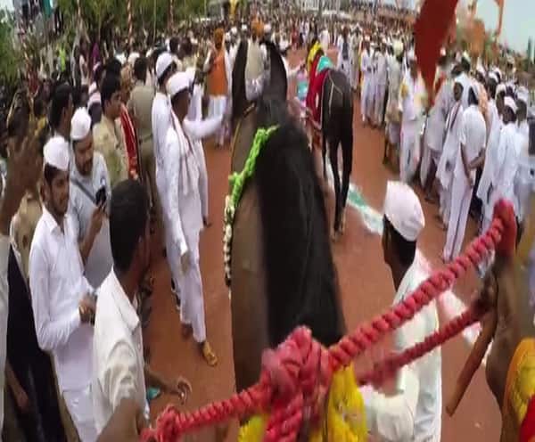 Indapur | Majha Vitthal Majhi Vaari Second Ringan At Indapur | VIDEO ...
